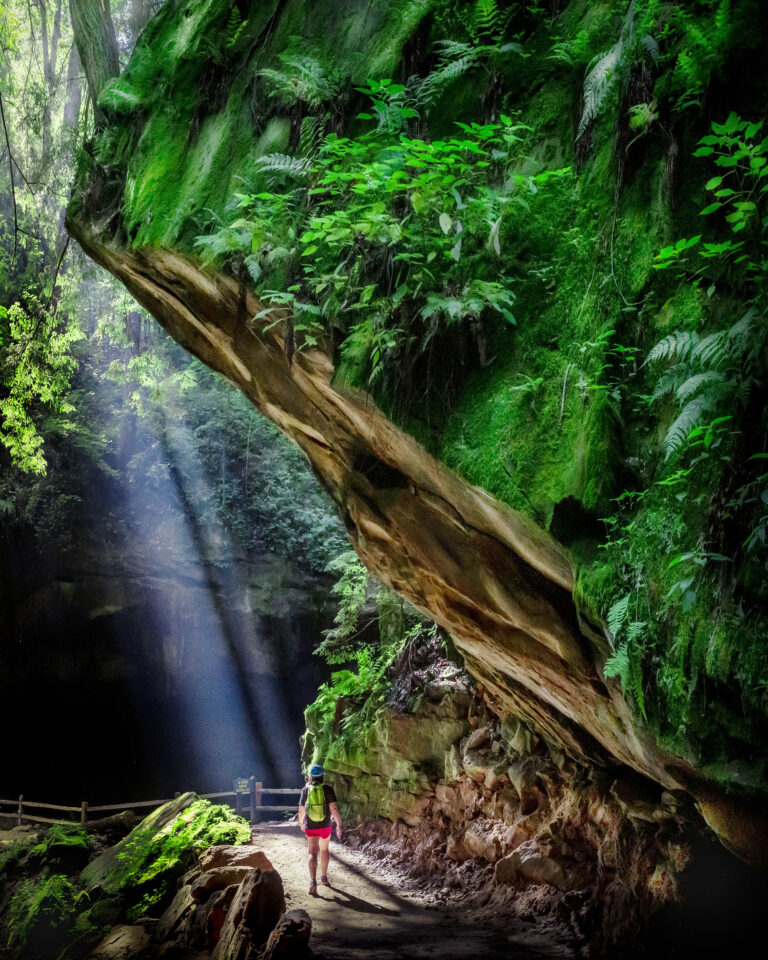 Step Back In Time Hiking Turkey Run State Park - Hiking Illustrated