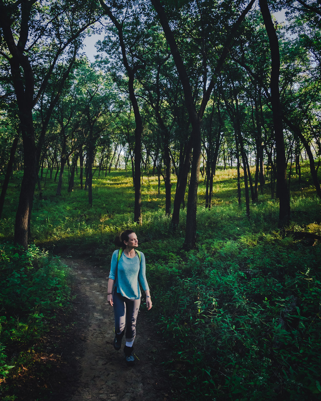 Cowles Bog Trail - Hiking Indiana Dunes National Park - Hiking Illustrated
