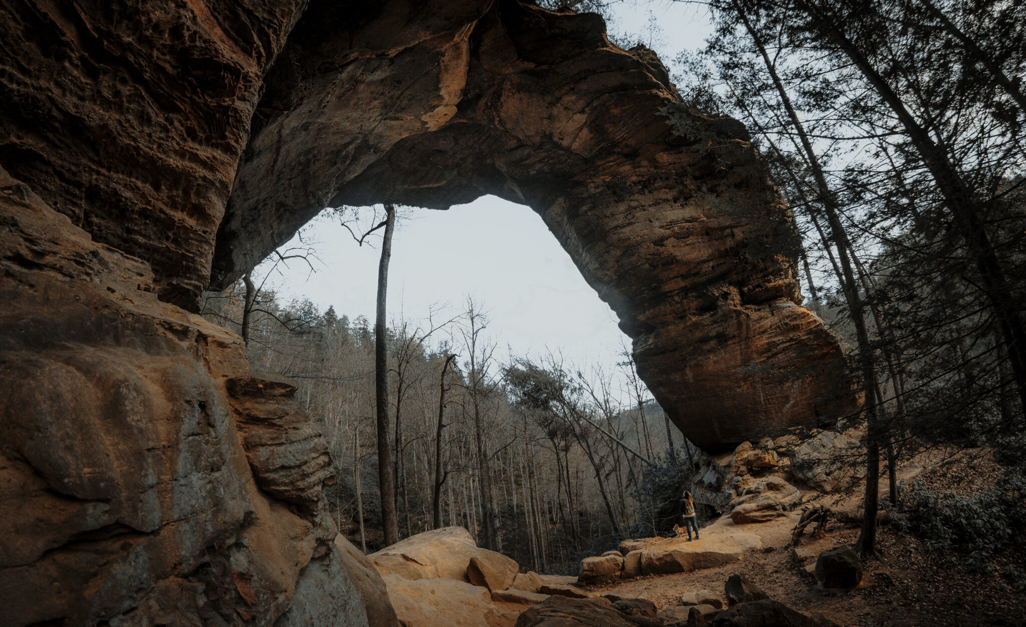 Hiking To Gray's Arch and Beyond at Red River Gorge - Hiking Illustrated